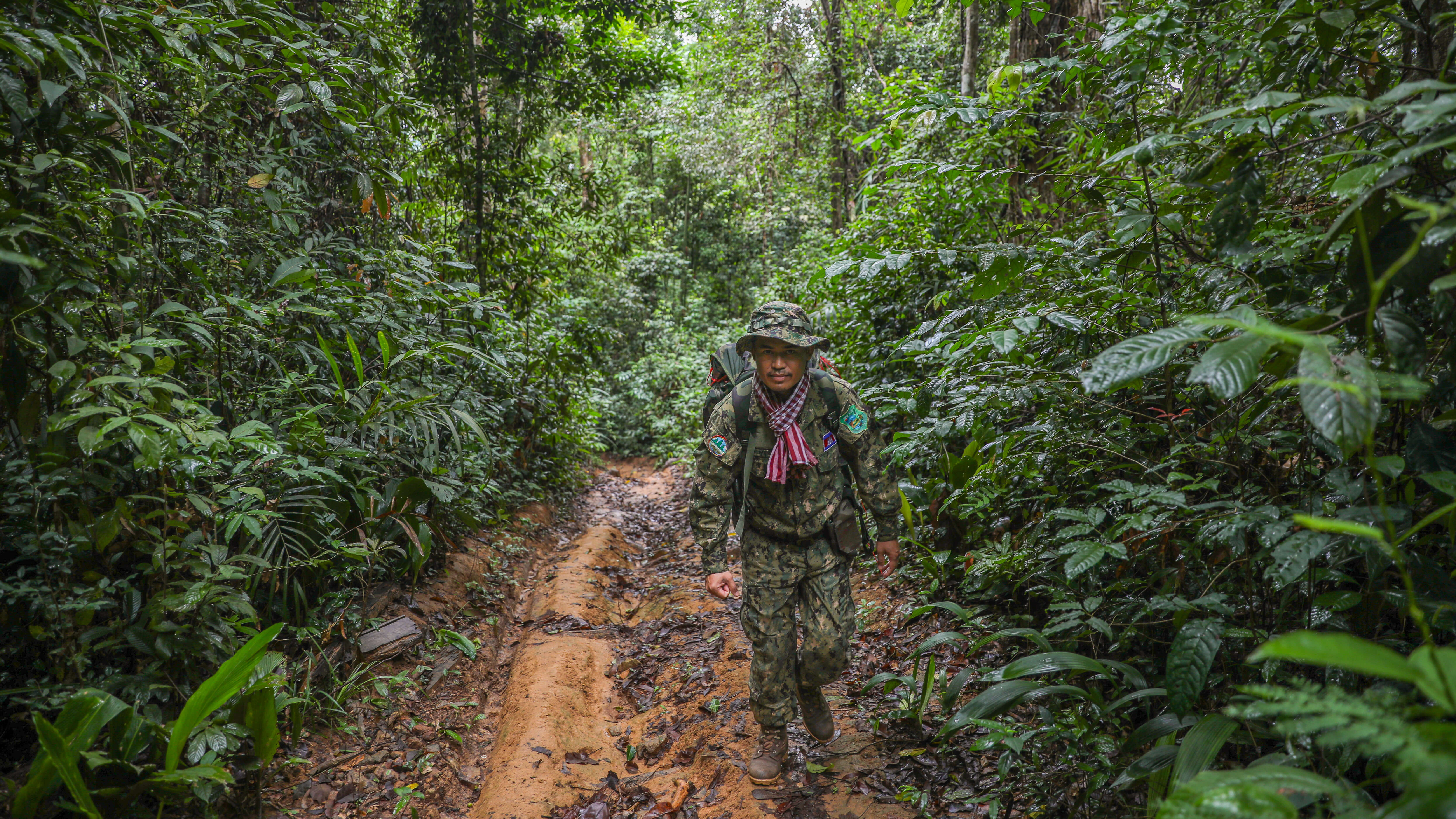 Cambodian Forests Under Threats | Pulitzer Center
